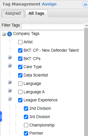 Assign or Inherit Tags from Existing Related Client or Company records